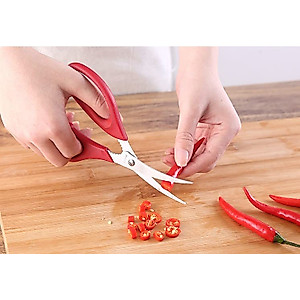 Joyce Lindberg Kitchen Seafood Scissors for Seafood Fish Crab Shrimp Lobster Shears 4 Pcs Red
