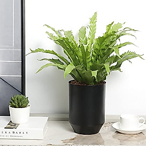 MyGift Modern Matte Black Metal Vase, Decorative Table Flower Vase, Indoor Planter Pot with Tapered Bottom Design - Handcrafted in India