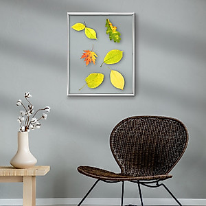 Golden State Art, 16x20 Floating Frame, Silver Aluminum Picture Frame, Clear Glass Displays Any Size Photo Up to 16x20, for Wall or Table Top Decoration