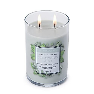 Colonial Candle Eucalyptus Mint Scented Jar Candle, Classic Cylinders Collection, 2 Wick, Green, 11 oz - Up to 80 Hours Burn