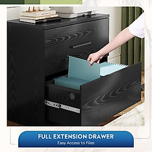 DEVAISE 2-Drawer Wood Lateral File Cabinet