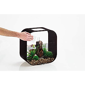 biOrb Scratch Remover Polish