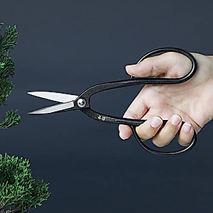 Wazakura Yasugi Steel Made in Japan Ashinaga Bonsai Scissors 8.2 in (210 mm), Pruning Shears, Japanese Gardening Tools - Yasugi Steel Ashinaga