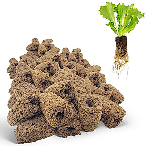 BioPlug Germination Rooter Cube 100 Pcs - Replacement Root Growth Sponges Kit Compatible with Aerogarden - Seed Starter Sponge Pods for Indoor Hydroponic Growing System