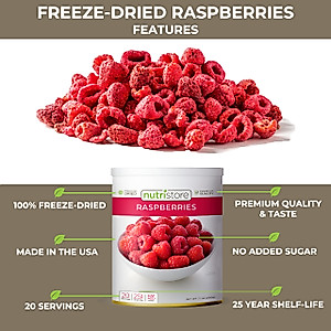 Nutristore Freeze Dried Raspberries | 100% Natural, Healthy Fruit Snacks Bulk | Premium Quality & Crispy Fresh Taste | Emergency Survival Food Supply | #10 Can | 20 Servings | 25 Year Shelf Life