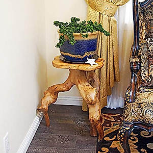 WELLAND Tree Stump Side Table, Live Edge Stool, Natural Edge Wood Side Table, Accent Table, 19" Tall