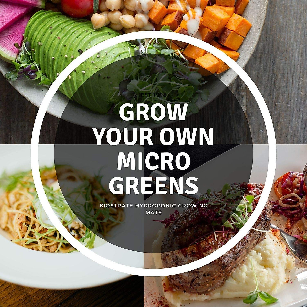 Micro-Mat Minis Hydroponic Grow Pads - for Organic Production - Plant & Seed Germination: Wheatgrass, Microgreens, More - Measures 4" x 4" to fit 5" x 5" Greenhouse Plant Trays (48)