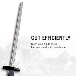 Victorinox Honing Steel Black Plastic Handle, 10-Inch, Combination Cut (40582)