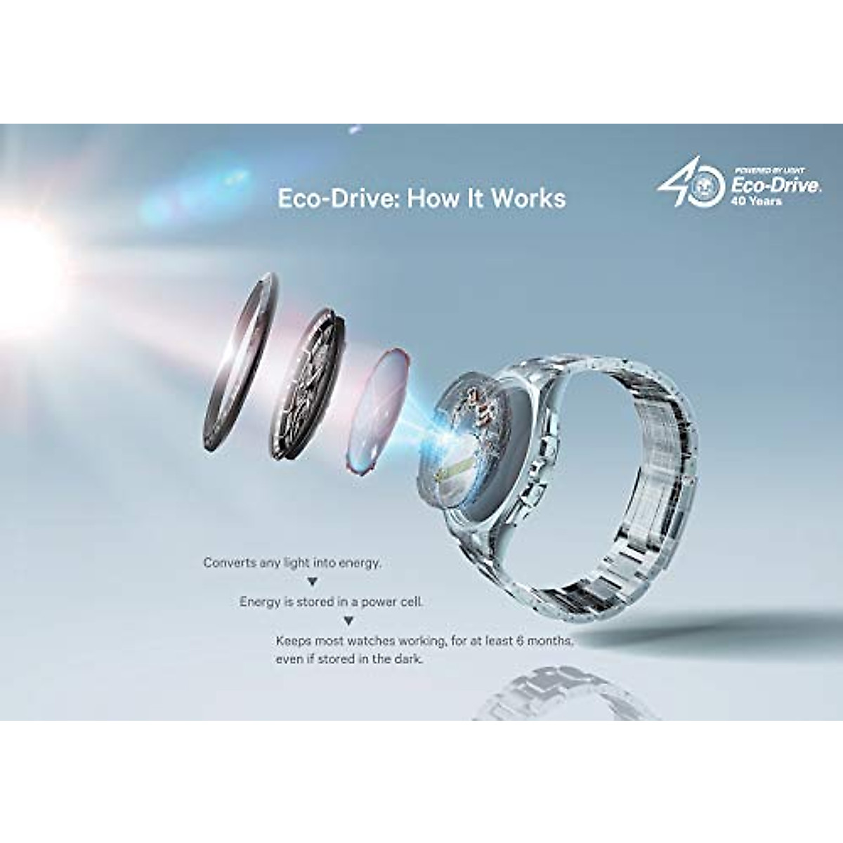 Citizen Women's Eco-Drive Dress Classic Watch in Two-tone Stainless Steel, White Dial (Model: EW1544-53A)