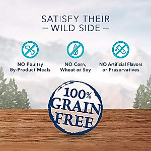Blue Buffalo Wilderness Trail Treats High Protein Grain Free Crunchy Dog Treats Biscuits, Turkey Recipe 24-oz Bag