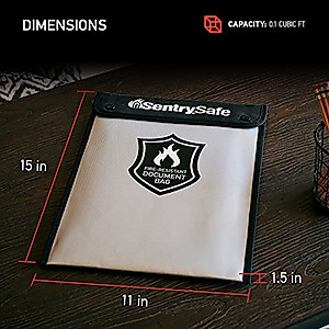SentrySafe Fire and Water Resistant Bag with Zipper for Documents, 1.5" x 11" x 15", FBWLZ0