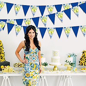 Blue and Lemon Party Decorations - 3pcs Lemon Bunting Banners, Lemonade Hanging Triangle Banner Garland for Lemon Wedding Engagement Bridal Shower Bachelorette Baby Shower Birthday Party