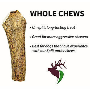 Elkhorn Premium Chews - Large Whole Single Pack (for 35-65 lb Dogs) Premium Grade Elk Antler for Dogs (1 Piece) Sourced in The USA