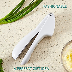 HiramWare Garlic Press, Kitchen Garlic Mincer Slicer or Squeezer with Ergonomic handle, Professional Ginger Crusher with Good Grip, Easy to Clean and Squeeze, Dishwasher Safe, BPA Free, Heavy Duty