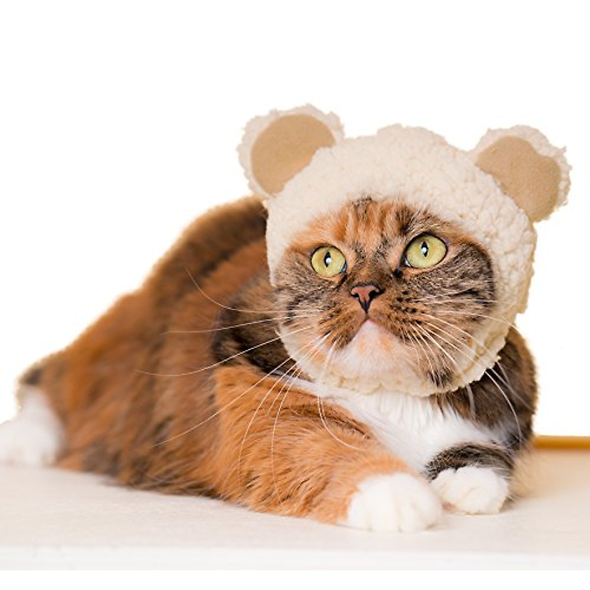 Kitan Club Cat Cap - Pet Hat Blind Box Includes 1 of 6 Cute Styles - Soft, Comfortable - Authentic Japanese Kawaii Design - Animal-Safe Materials, Premium Quality (Bear)