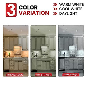 BULBMASTER F8T5 CW Fluorescent Bulbs 12 Inch - F8 T5 8W Cool White 4100K Fluorescent 12" Under Cabinet Light Bulbs Linear T5 380 Lumens - Under The Counter Small Fluorescent Light Bulb - Pack of 6