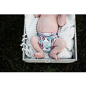 Kanga Care Lil Joey Cloth Diaper (2pk) Clyde