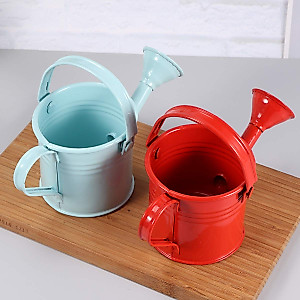 DOITOOL Metal Watering Can, 2Pcs Kids Watering Cans, Iron Watering Kettle Small Watering Pot for Home Office Indoor Outdoor Succulents, Potted Flowers, Bonsai Plants (Red and Light Blue)