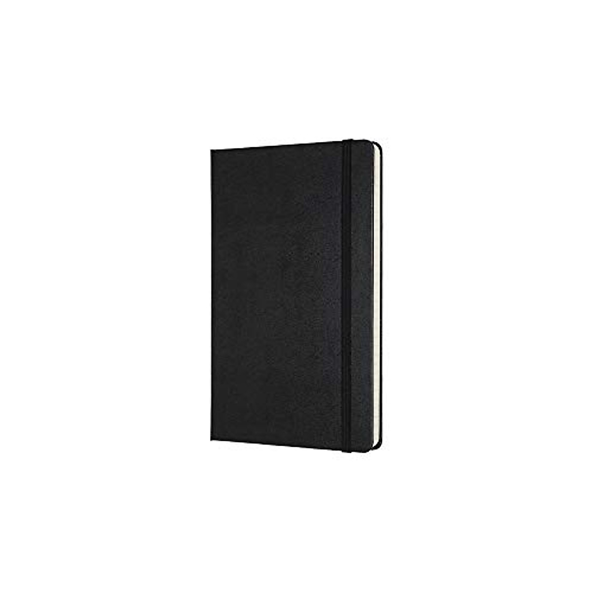 Moleskine PRO Notebook, Hard Cover, Large (5" x 8.25") Professional Project Planning, Black, 240 Pages