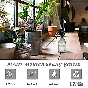 Plant Mister Water Spray Bottle - Fine Mist Spray Bottle for Flowers, Plants, Gardening, Cleaning Solutions - 10oz, Plastic