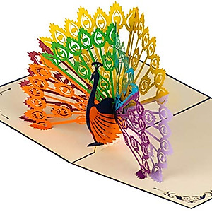 Peacock Pop Up Birthday Card by DEVINE Popup Cards | Happy Wedding Anniversary Card for Husband Wife Boyfriend Girlfriend | Romantic Valentines 3D Cards for Her Him Mothers Day Gifts Mom Love Bird