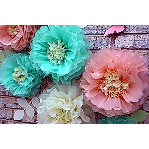 Fonder Mols Paper Flowers Decorations Tissue Pom Poms Blooms for Wall Decorations, Wedding Backdrop, Archway, Baby Shower, Nursery Wall Decor (Set of 21, Ivory Peach Mint)