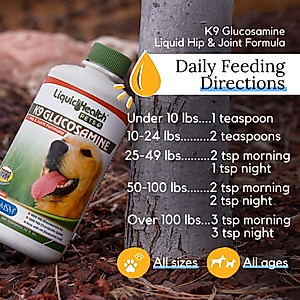 LIQUIDHEALTH 32 Oz K9 Liquid Glucosamine for Dogs, Puppies and Senior Canines - Chondroitin, MSM, Hyaluronic Acid – Joint Health, Dog Vitamins Hip Joint Juice, Dog Joint Oil