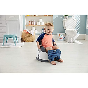 Fisher Price Custom Comfort Potty