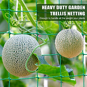 Trellis Netting, Heavy Duty Garden Trellis Netting for Climbing Plants Outdoor, 6.6x9.85Ft Plant Netting for Cucumber, Tomato, 27 Strands & 4x4 IN Mesh, Grow Net for Fruits, Vegetables,Grapes,Bean,Pea