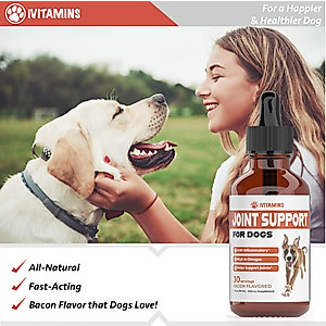 Joint Support Supplement for Dogs | Dog Hip and Joint Supplement | Supports Healthy Hips, Joints, & Much More | Dog Joint Supplement | Joint Supplement for Dogs | Joint Support for Dogs | 1 fl oz