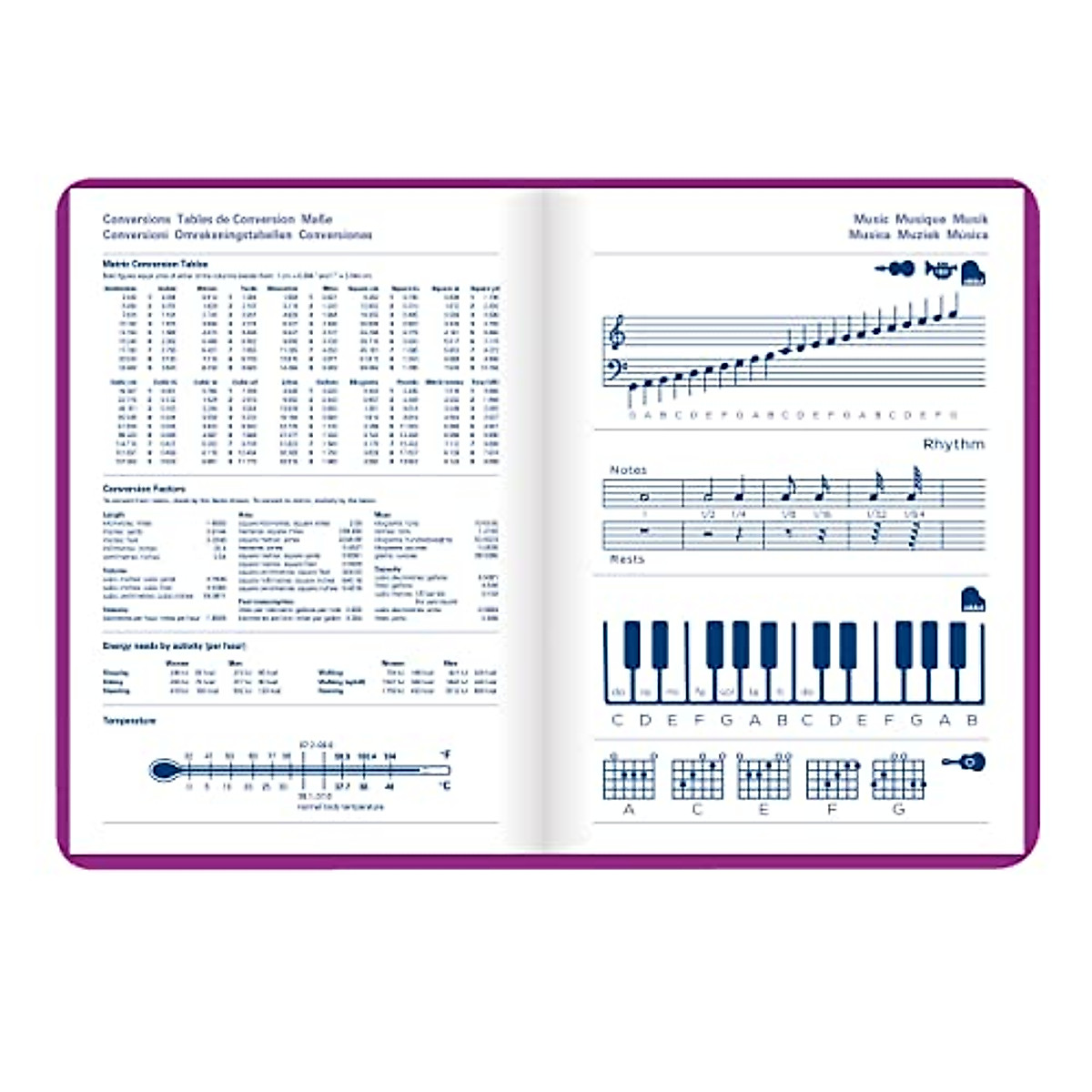 Letts of London Dazzle Academic Weekly Planner, August 2023 to July 2024, Week-to-View, Sewn Binding, Multilingual, A5 Size, 8.25" x 5.875", Purple (C031116-24)
