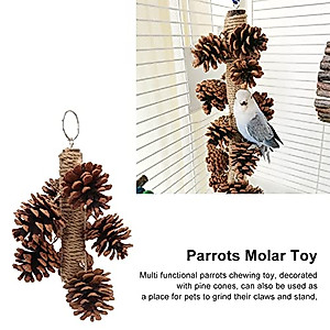 Parrots Pine Cone Chewing Toy, Hamster Chew Toys Hanging Wooden Pine Cones Bird Cage Funny Chewing Toy for Parakeet Cockatiel Grey Lovebirds Budgies Cockatoos(S)