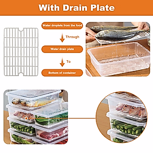 YAYODS 6 Pack Food Storage Containers for Fridge Plastic Refrigerator Storage Containers with Removable Drain Plate and Lid, Stackable Freezer Food Storage Containers for Fruits, Vegetables, Meat