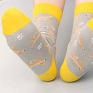 Knapfold Men's Golden Retriever Socks Funny, Dog Lovers Gifts, Novelty Casual Crew Socks
