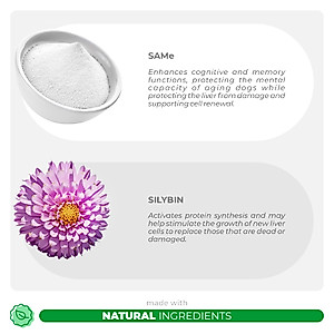 Same Silybin for Cats - S-Adenosyl-L-Methionine - 120g Powder - Liver Supplements for Cats - Promotes Cognitive and Liver Support (Powder for Cats)
