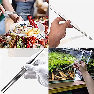 LAJA Imports 24" Tweezers (Herp Feeding Tool) Snake Reptile Stainless Steel