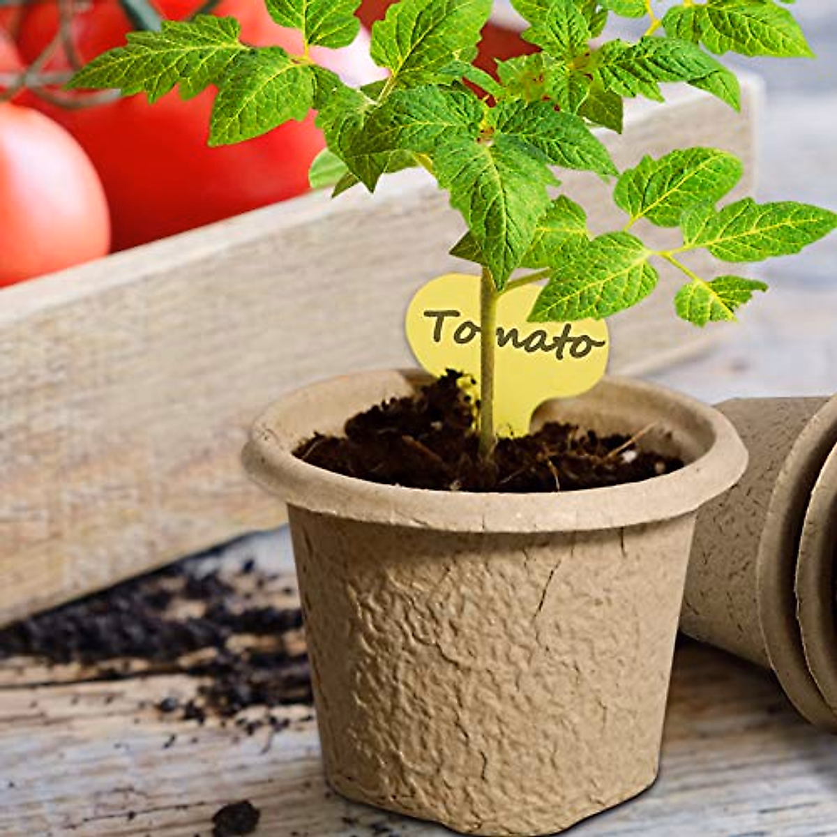 TCBWFY 4" Peat Pots for Seedlings Seed Starting Trays Pulp Plant Pots for Seedlings 30 Pack,Seed Starter Nursery Pots Seedling Pots for Vegetables Herbs Small Planting Pots