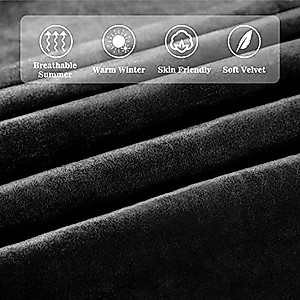 Allewie King Bed Frame/Velvet Upholstered Bed Frame with Vertical Channel Tufted Headboard/Strong Wooden Slats/Platform Bed Frame/Mattress Foundation/Box Spring Optional/Easy Assembly/Black