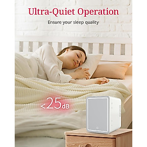 Oterbear 4L Mini Skincare Fridge, Makeup Fridge with Dimmable LED Light Mirror, Cooler and Warmer, Cosmetic Refrigerator for Bedroom, Office, Dorm and Car, White