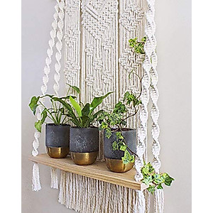 AMIAEDU Macrame Wall Hanging Shelf, Handmade Indoor Boho Rope Plant Pot Basket Hanger Holder, Rope Plant Hanger for Wall Decor (White)