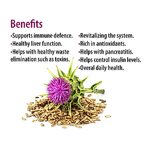 Teliapets Milk Thistle Seed Powder, Herbal & Effective, Natural, Ideal to Protect The Liver & Kidney Health, Against Allergies, Detoxifying, Antioxidant -for Dogs & Cats 23.4oz /700 gr