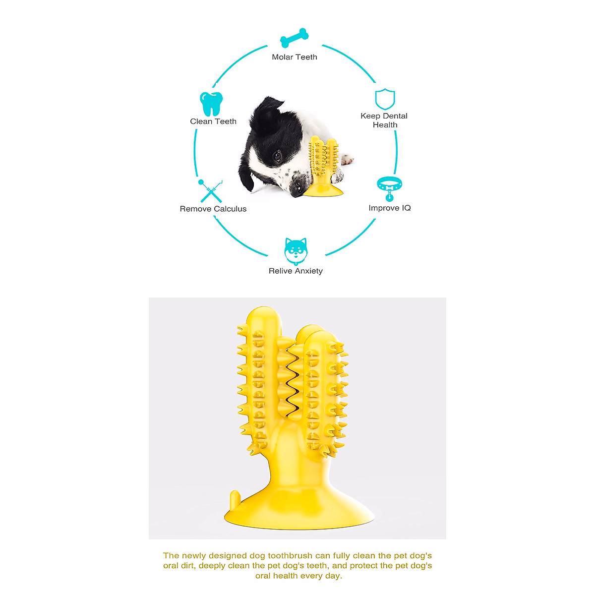 Dog Toothbrush Chew Toy, Cactus Shaped Chew Toy, Dog Teeth Cleaning Dental Toy With Cotton Rope For Dogs, Puppies And Aggressive Chewers In Aspect Of Size: Small Medium Large (if Buy More One, Will Ge