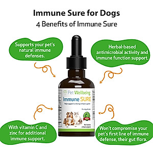 Pet Wellbeing Immune Sure for Dogs - Vet-Formulated - Immune System Support & Protection - Natural Herbal Supplement 2 oz (59 ml)