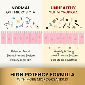 VetriScience Vetri Mega Probiotics for Dogs & Cats, 7.5 Billion CFU â€“ 8-Strain Cat & Dog Probiotics for Digestive Health, Gut Health, Immune Support & Seasonal Allergies â€“ 180 Capsules