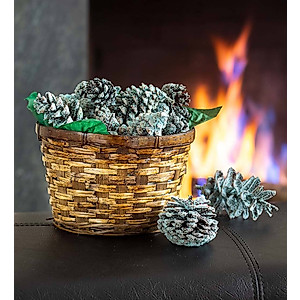 Plow and Hearth Color-Changing Fireplace Color Cones, 1 lb. in Gift Basket, Indoor/Outdoor Wood Fires, Fire Pit, Hostess Gift, Housewarming Gifts, 10 Minutes, Blue and Green Flames, 7" Dia. x 10" H