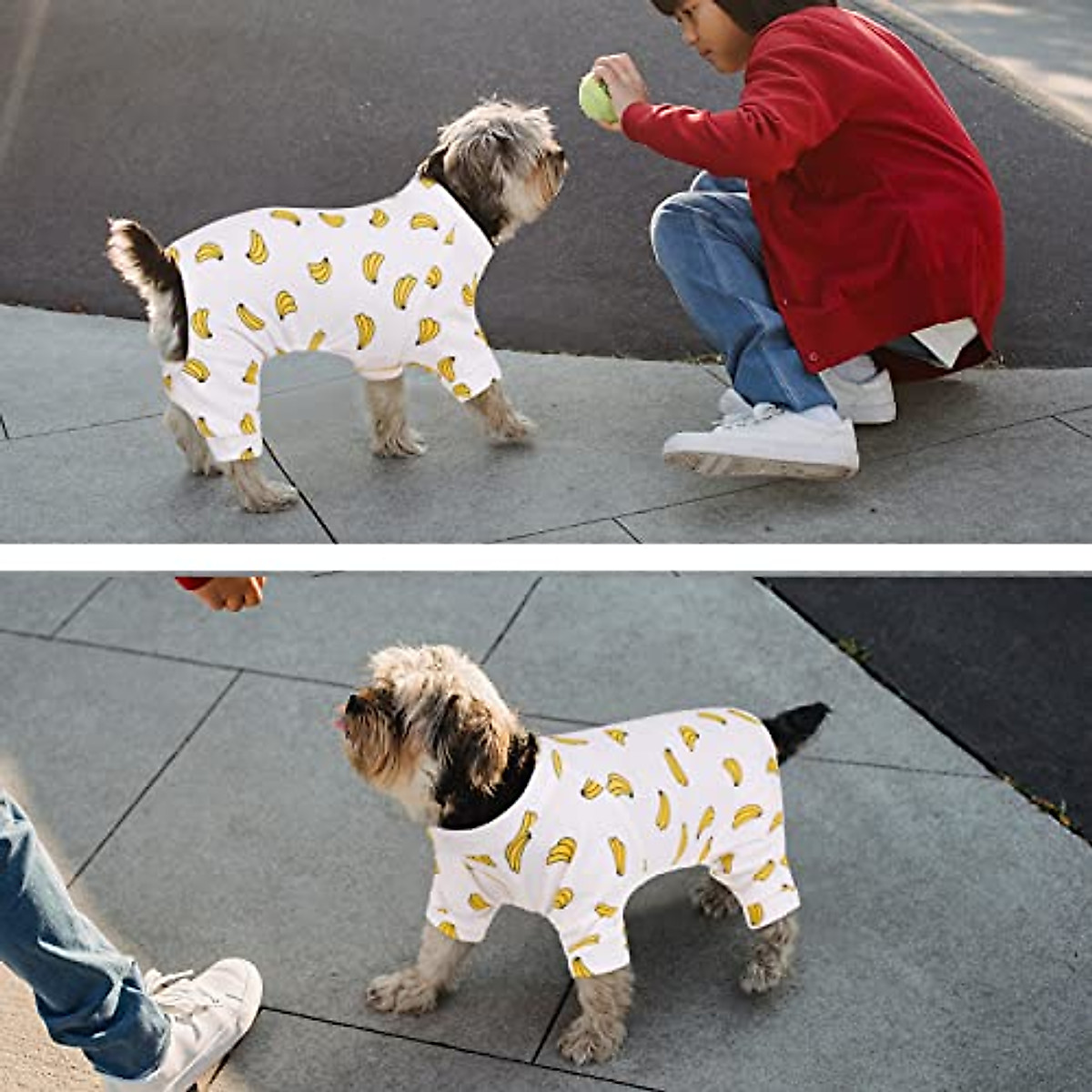 LETSQK 4-Pack Dog Pajamas Puppy Cute Clothes Adorable Puppy Rompers Jumpsuits Cozy Soft Cotton Bodysuits Apparel for Small Dog and Cat (X-Large)