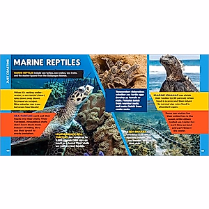 The Fascinating Facts Books for Kids 3 Book Box Set: 1,500 Incredible Facts about Animals, Oceans, and Science for Kids Ages 9-12