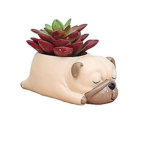 Succulent Pots,Cute Animal Pug Dog Shaped Air Plant Holder Flower Planters-Plants Not in Included