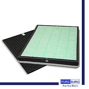 PUREBURG Replacement Filter Set Compatible with RabbitAir BioGS 2.0 Ultra Quiet Model SPA-550A & SPA-625A Air Purifiers,2-Pack H13 True HEPA + Activated Carbon Filter