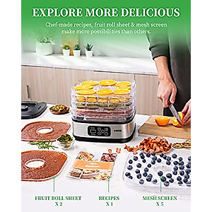 GDOR Food Dehydrator Includes Mesh Screen, Fruits Roll Sheet, Recipes, 5 Trays Dehydrator Machine with Temp Control & 72H Timer & LED Display, for Jerky, Fruit, Veggie, Herb, Dog Treat, BPA-Free